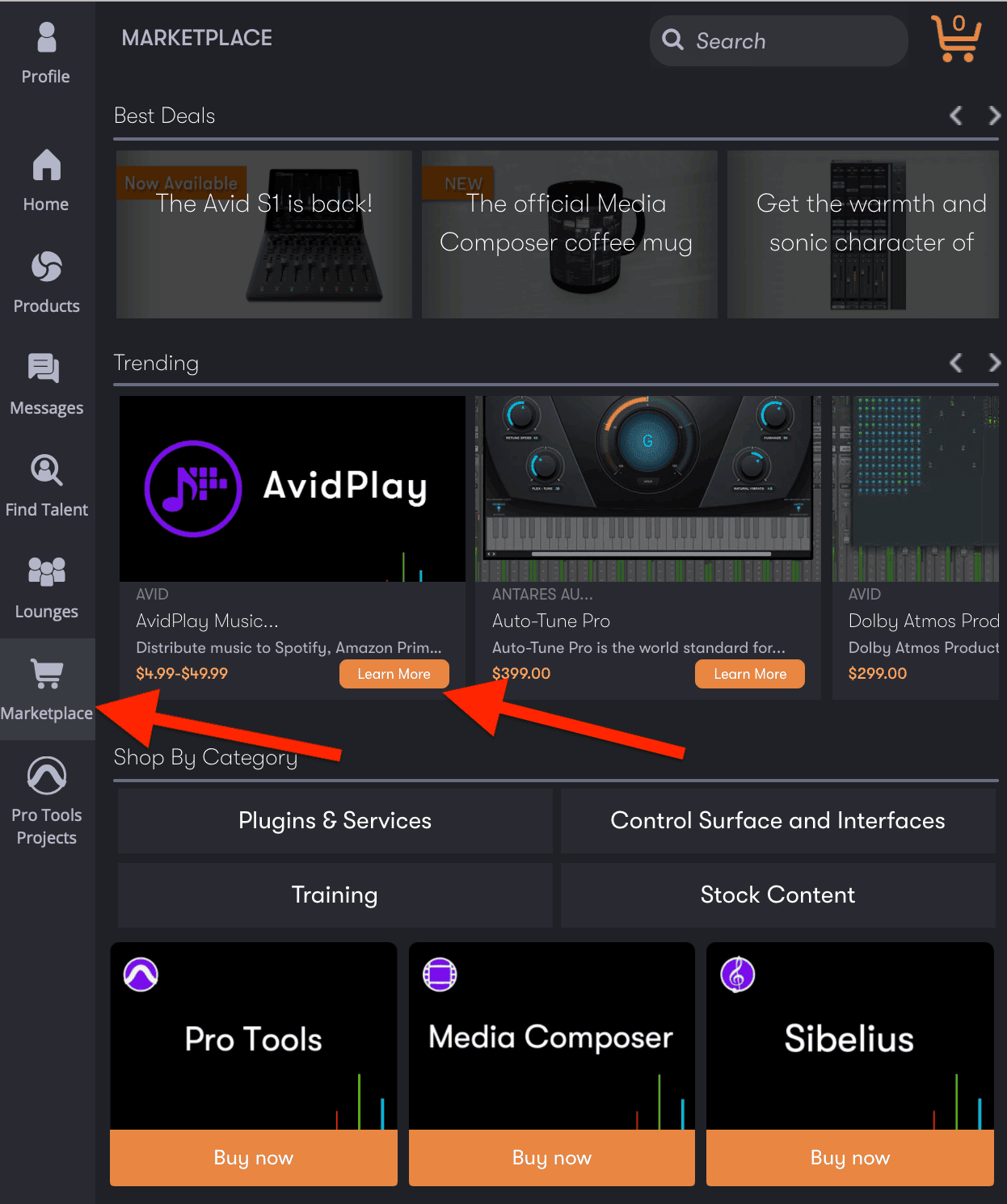 Release Your Music with AvidPlay: Tips & Tricks